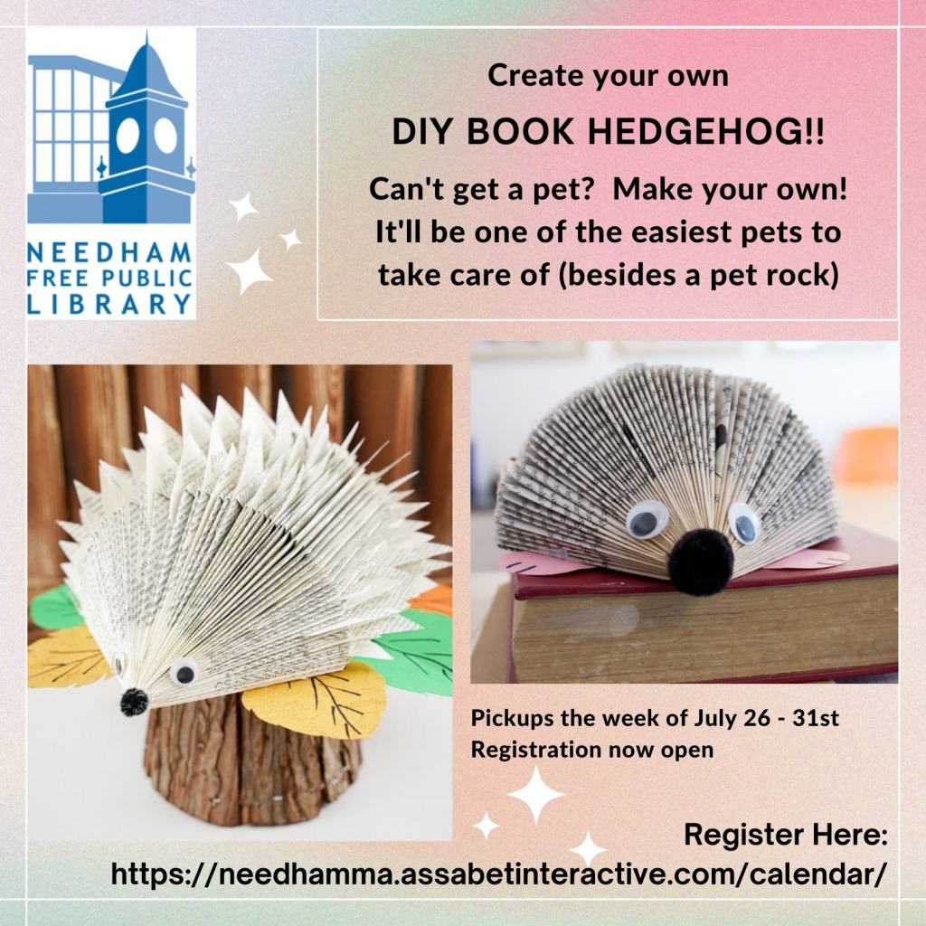 07/26/2021 | Take and Make Craft Pick-Up : DIY Book Hedgehogs (For Ages ...