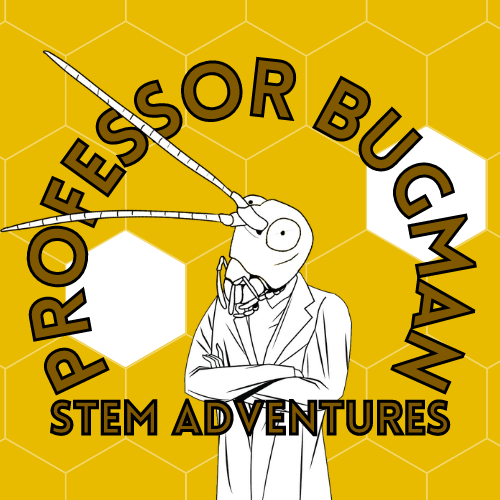 Kids Programs - Norfolk Public Library