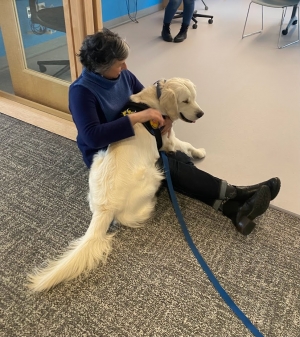 03/21/2024 | Skipper the Therapy Dog | Norwell Public Library