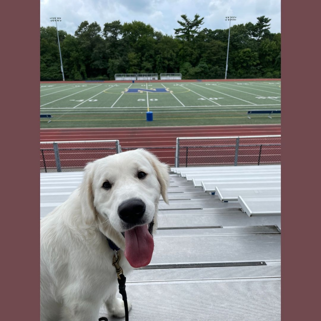 05/24/2024 | Read to Skipper | Norwell Public Library