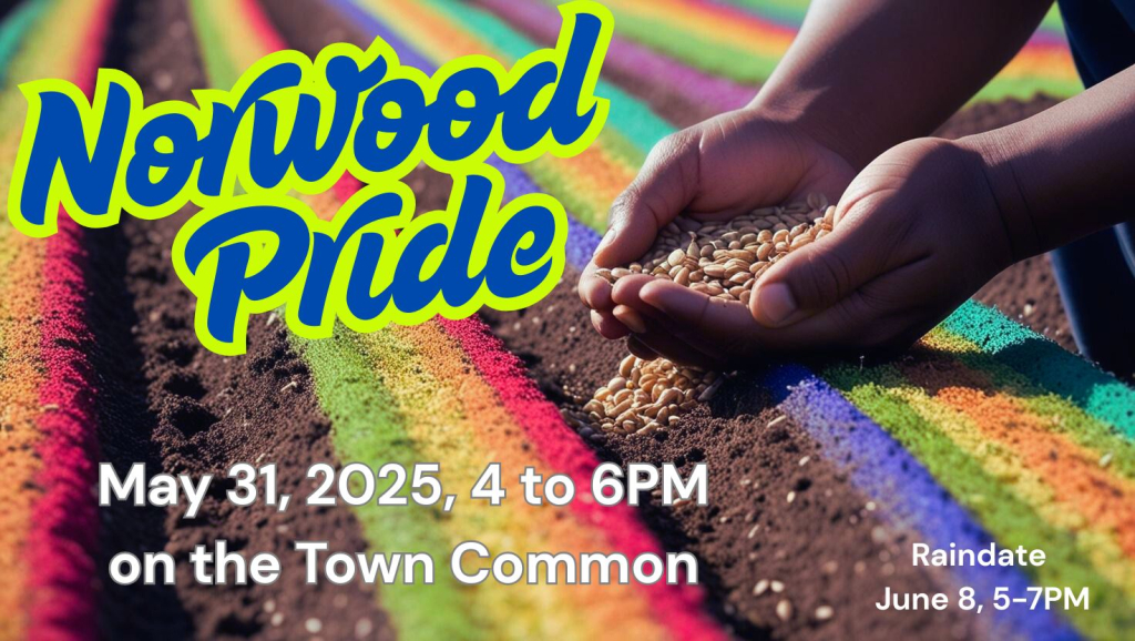 05/31/2025 | Fifth Annual Norwood Pride Picnic | Morrill Memorial Library