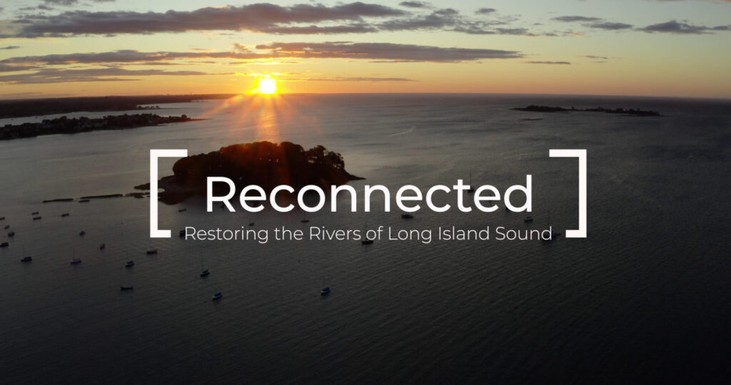 02/12/2025 | CANCELED - Documentary Film Screening - Reconnected ...