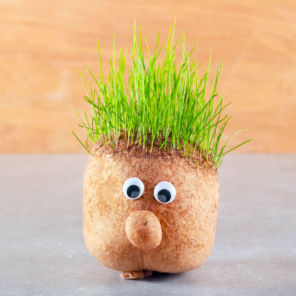 03/19/2025 | Take and Make Grass Heads | Palmer Public Library