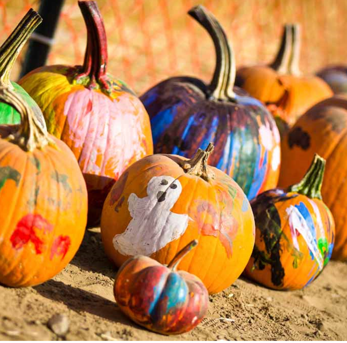 09/23/2020 | No-Carve Pumpkin Decorating Program - Registration Open 9/ ...