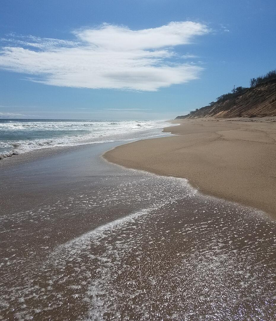 11/23/2024 | Meditation Mini Retreat with Susan Olin-Dabrowski ...