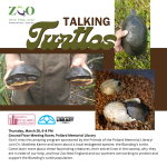 03/28/2024 | Talking Turtles | Pollard Memorial Library