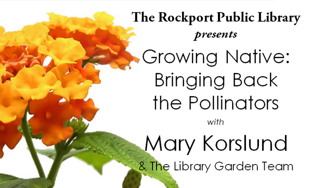 05/11/2024 | Growing Native: Bringing Back the Pollinators | Rockport ...