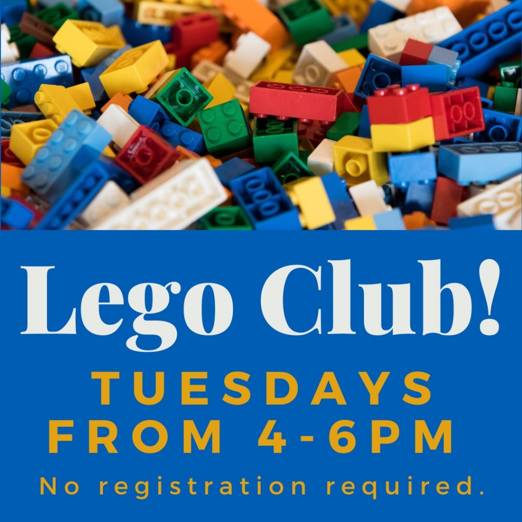 02/04/2025 | Lego Club | Shrewsbury Public Library