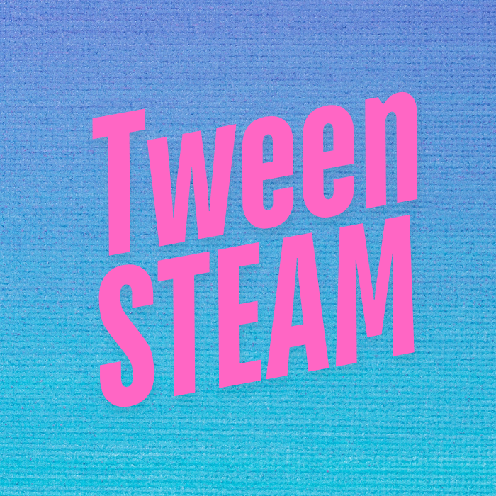03/26/2025 | Tween STEAM – Creating Sculptures | Somers Library