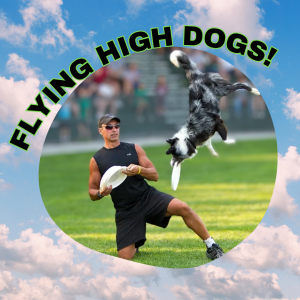07/25/2023 | Flying High Dogs at Central! | Somerville Public Library