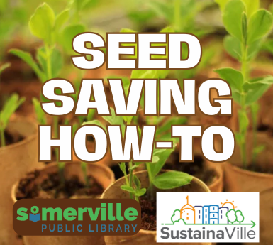 05/14/2025 | Seed Saving How-To | Somerville Public Library