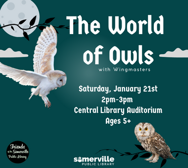 01/21/2023 | The World of Owls | Somerville Public Library