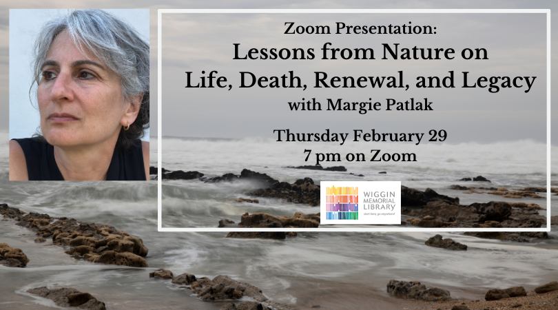 02/29/2024 | Zoom Presentation - Lessons from Nature on Life, Death ...