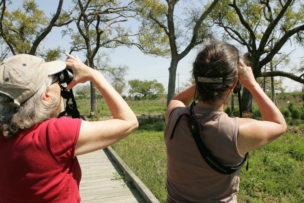 05/19/2023 | VIRTUAL: Introduction to Birdwatching with Bill Gette ...