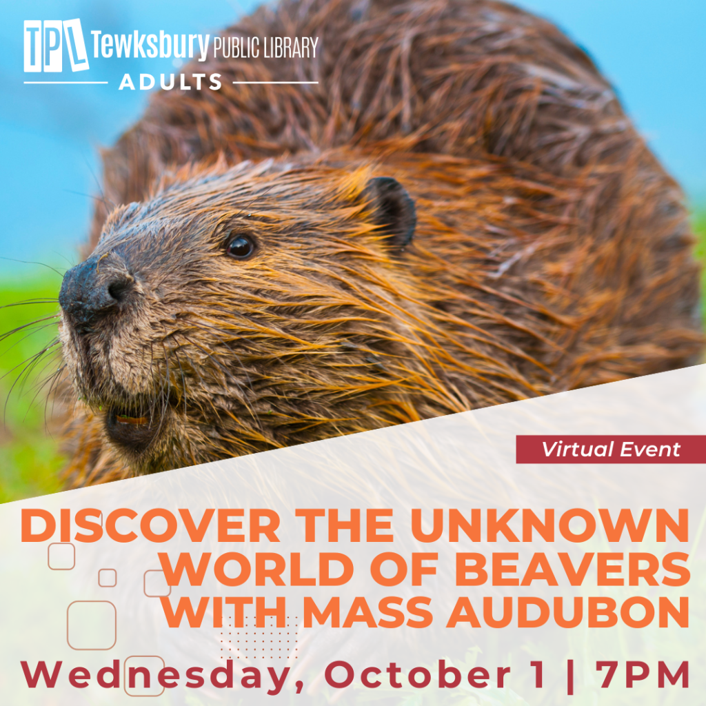 10/01/2025 | VIRTUAL: Discover The Unknown World Of Beavers with Mass ...