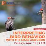 04/11/2025 | VIRTUAL: Interpreting Bird Behavior with the Mass Audubon ...