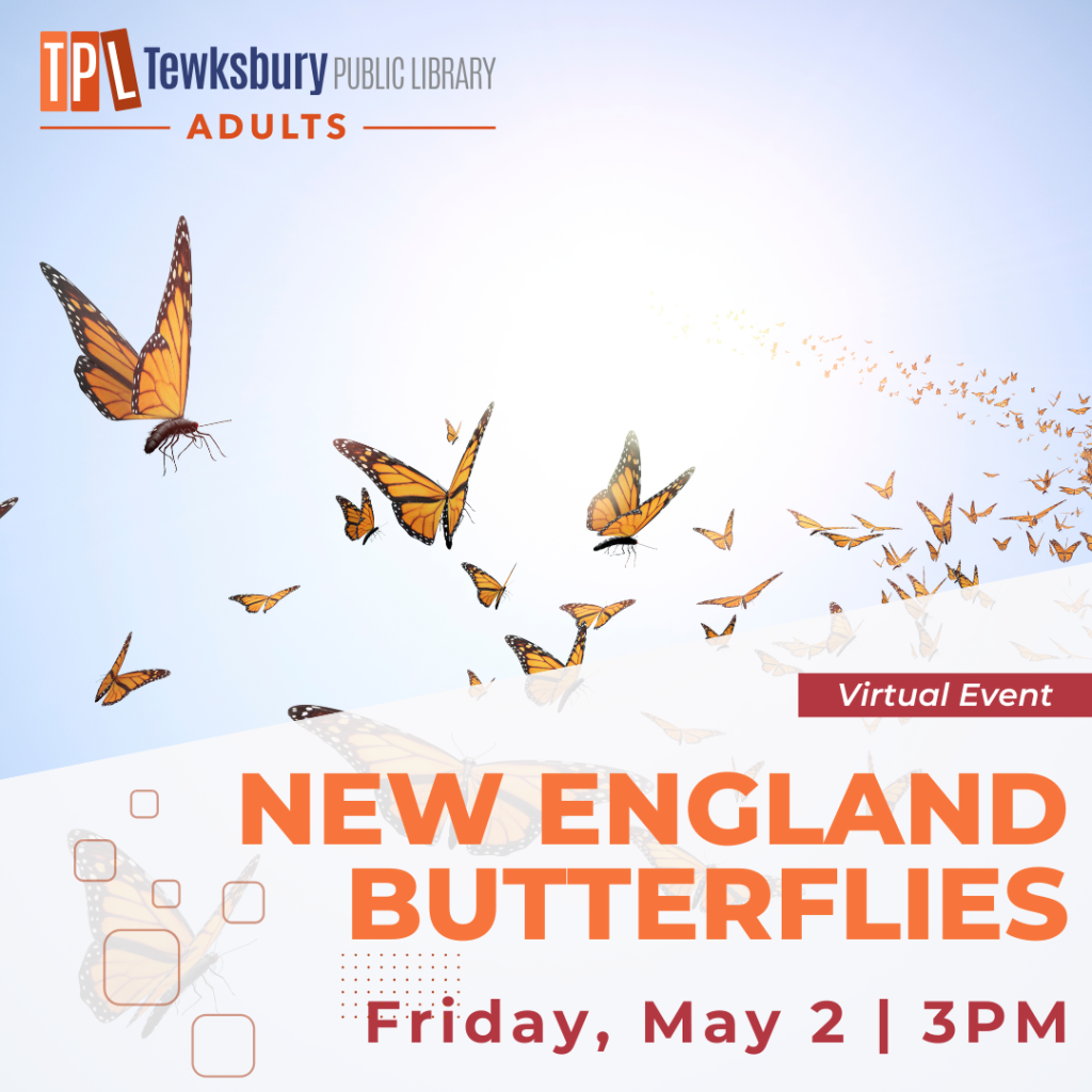 05/02/2025 | VIRTUAL: New England Butterflies | Tewksbury Public Library