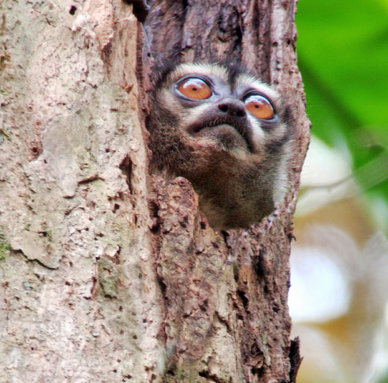07/11/2023 | VIRTUAL: A Trip To Panama -- From The Panama Canal To An ...