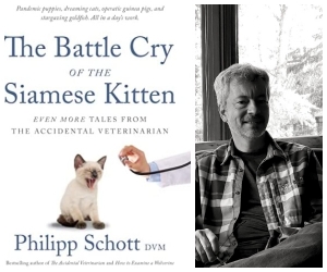 Wednesday, March 8, 2023 | VIRTUAL: Tales From The Accidental ...