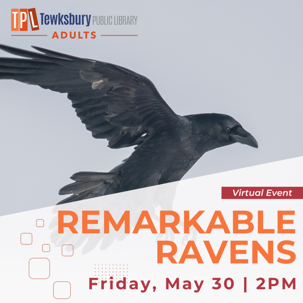 05/30/2025 | VIRTUAL: Remarkable Ravens | Tewksbury Public Library