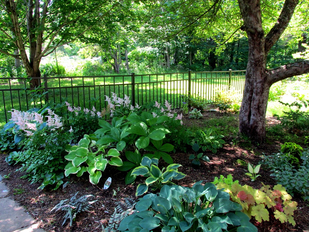 09/22/2022 | VIRTUAL: Shade Gardening | Tewksbury Public Library