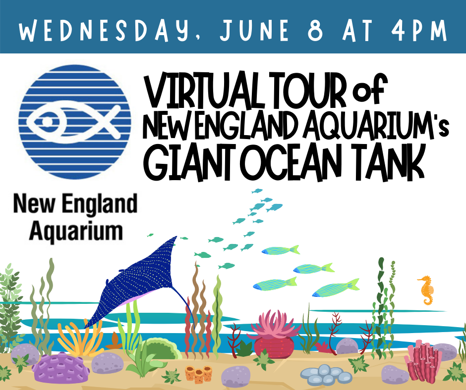 Wednesday, June 8, 2022 | Virtual Tour of the New England Aquarium ...