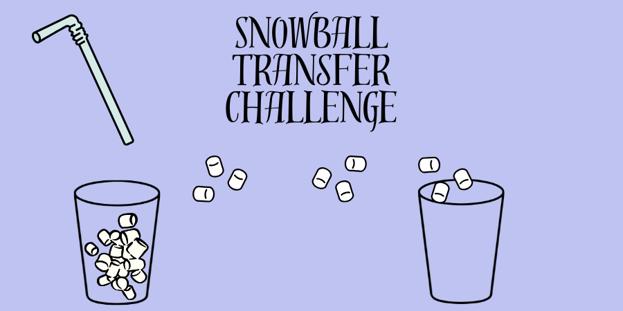 01/14/2025 | Snowball Transfer Challenge | Hudson Public Library