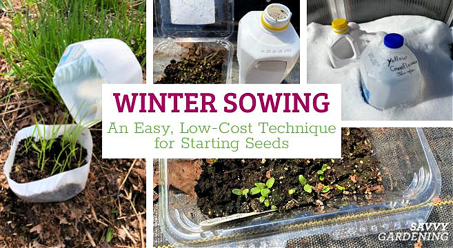 Wednesday, January 14, 2026 | Plant Geeks: Winter Seed Sowing Party ...