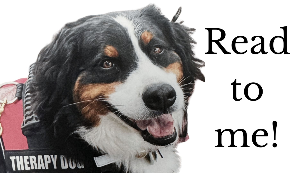 09/17/2025 | Read to Willow the Therapy Dog! | Tyngsborough Public Library