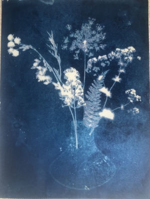 07/13/2023 | Intro to Botanical Cyanotype | Westborough Public Library