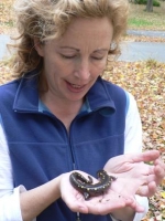 07/27/2022 | Let's Go on a Bug Hunt with Hands on Nature | J.V ...
