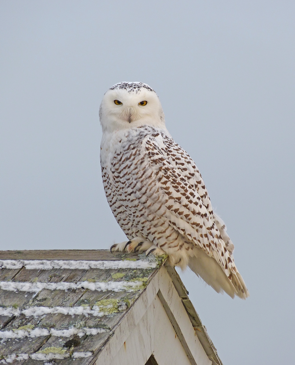 01/23/2024 | Virtual: Cape Ann to the Merrimack River | G.A.R. Memorial ...