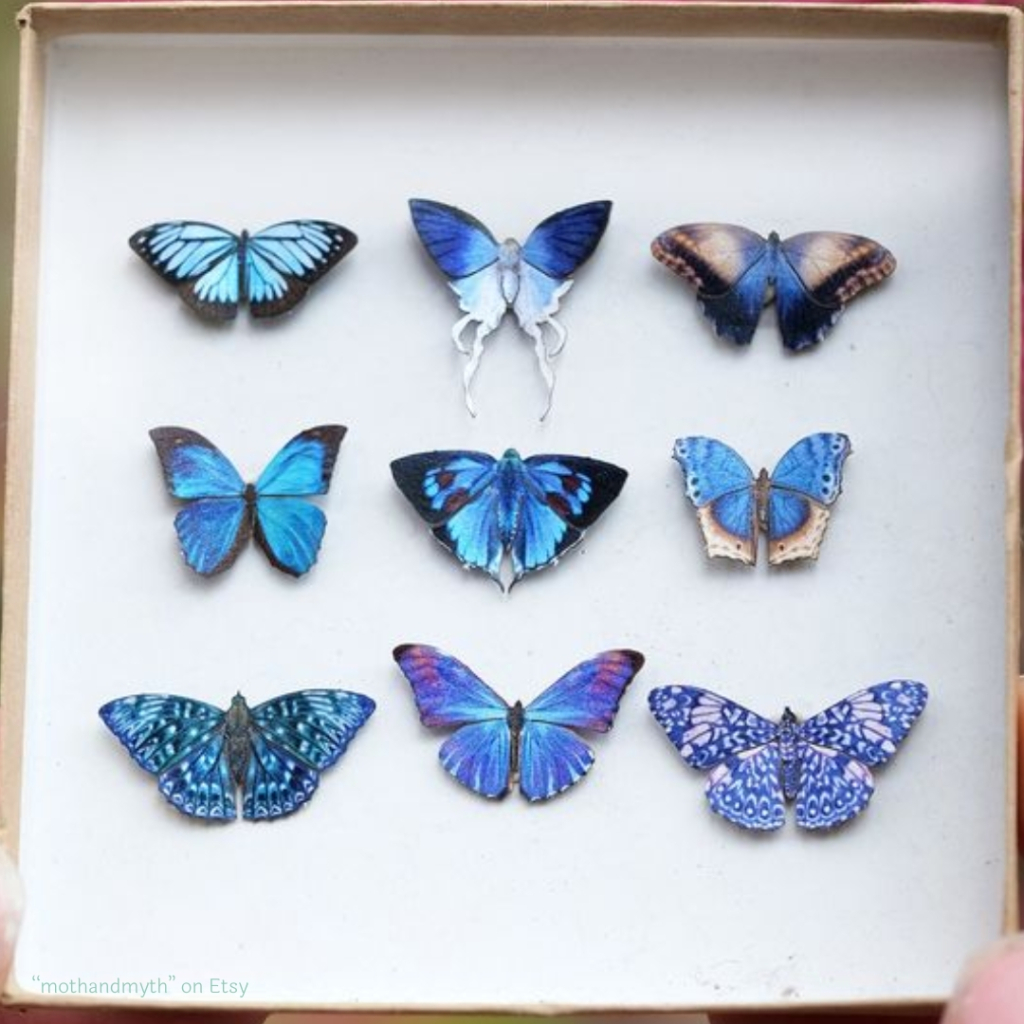 05/01/2025 | Crafter's Studio: Butterfly Shadow Boxes | Weston Public ...