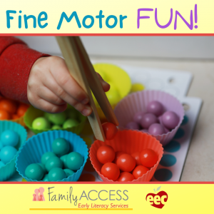 01/22/2024 | Fine Motor Fun! with Family ACCESS | Woburn Public Library