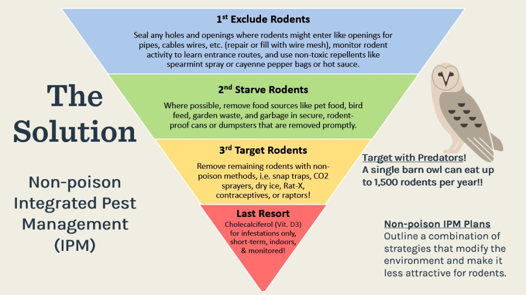 05/19/2025 | Rodent Prevention and Safe Rodent Control — Communities in ...