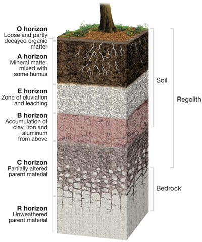 soils (lesson 0088) - TQA explorer