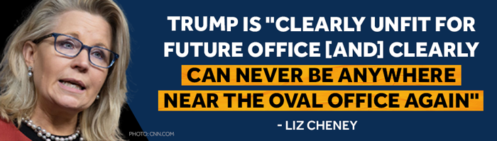 Liz Cheney Legacy Survey | BOLD Pac