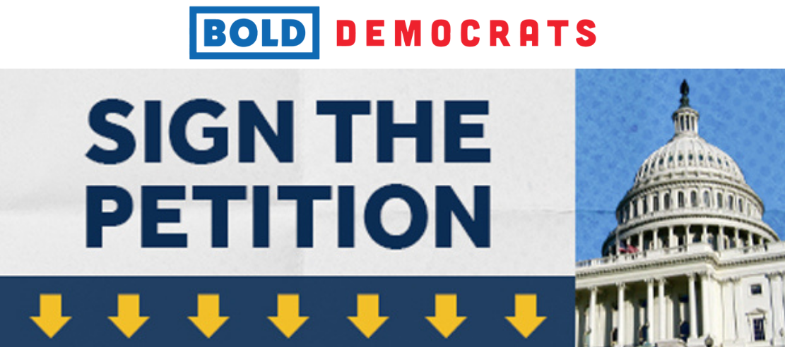Vote by Mail Petition | BOLD Pac