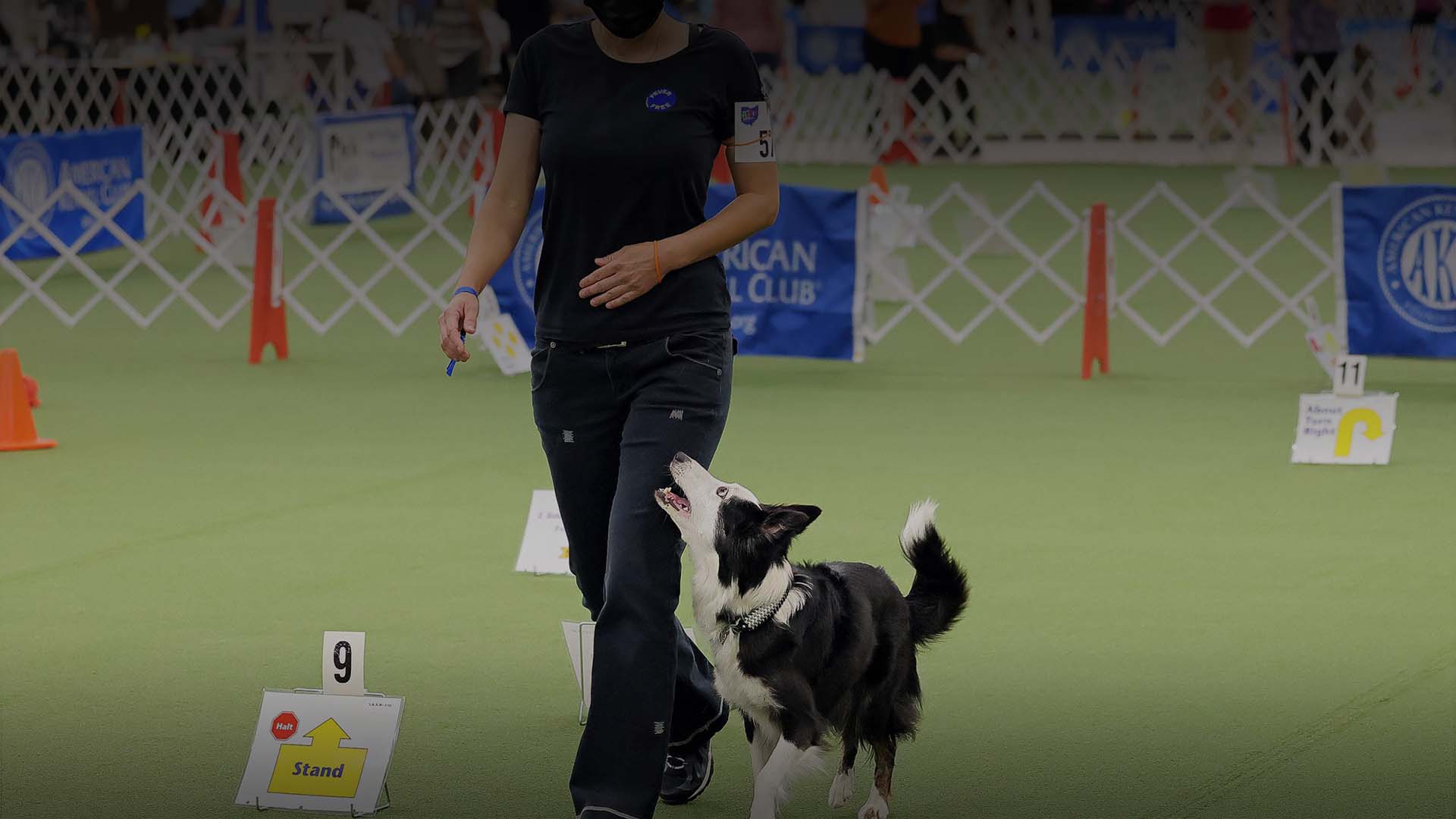 Upcoming Events Live on AKC.TV