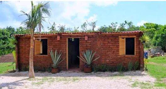 Sargasso Bricks? - AkumalNow