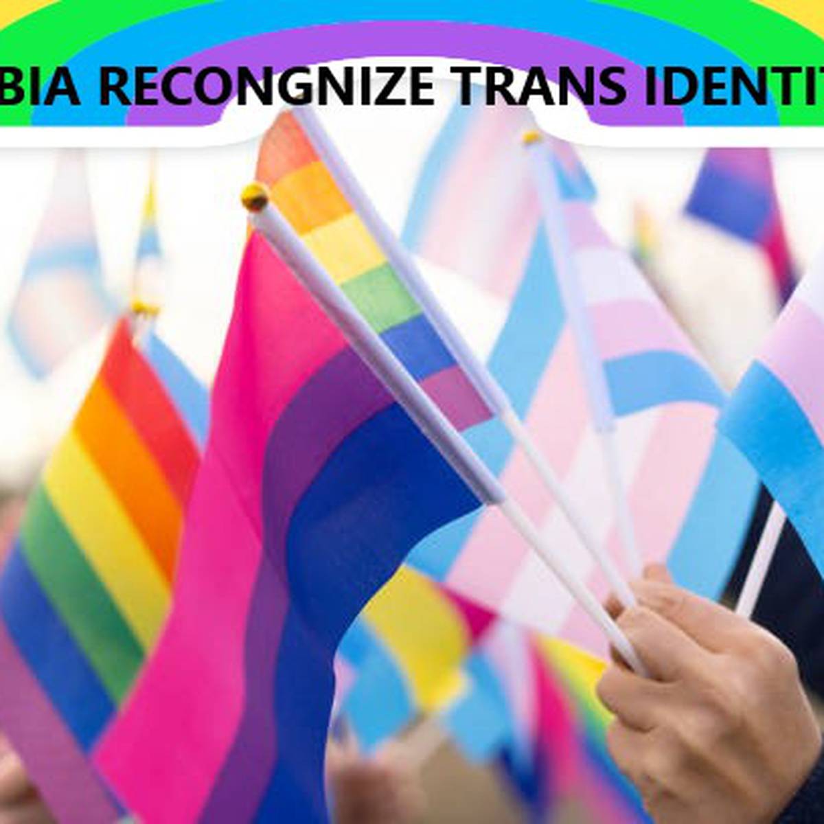 Recognize Trans Identities Now
