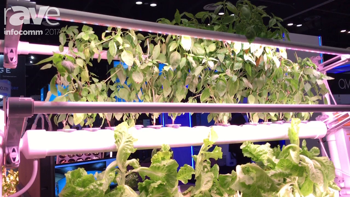 InfoComm 2017: OPCOM Intros GrowWall GrowBox and GrowFrame With O2 ...