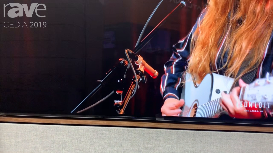 CEDIA 2019: Leon Speakers Showcases Its Custom Edge Media Frame Product ...
