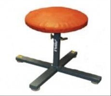 Ultra Dome Pommel Horse Trainer