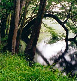 American Rivers | Rivers Connect Us