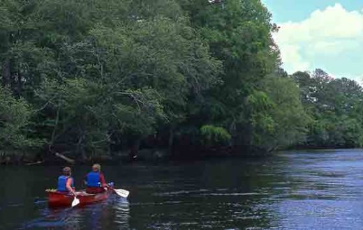 Southeast | American Rivers