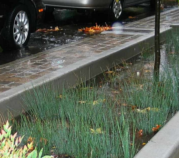 How Stormwater Affects Your Rivers | American Rivers