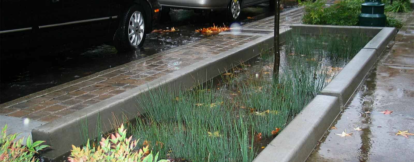 How Stormwater Affects Your Rivers | American Rivers
