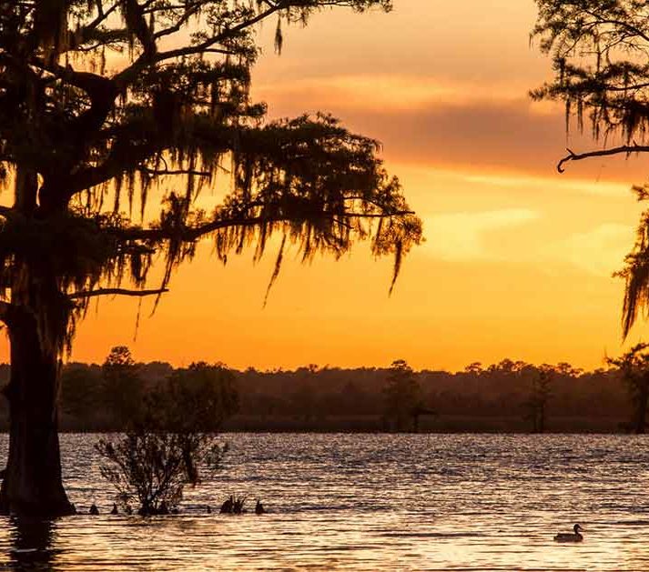 Neuse River | American Rivers