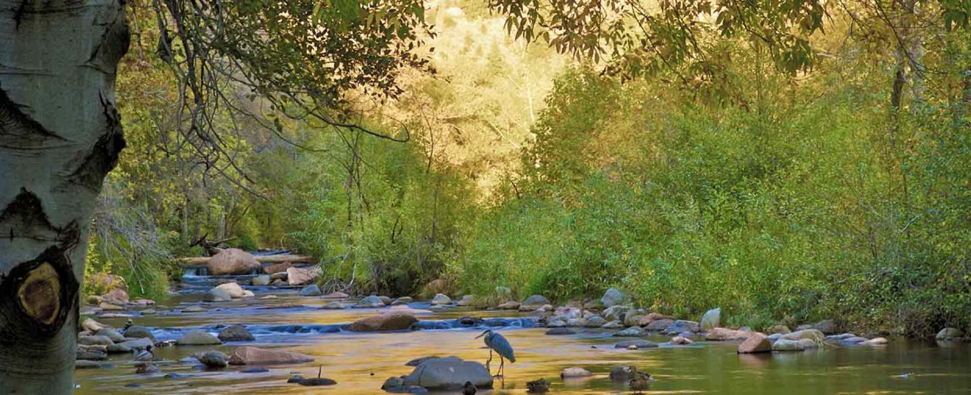 American Rivers | Rivers Connect Us